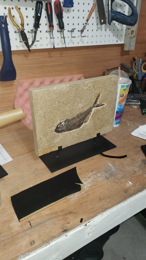 Flat Fossil Display - Paleo Fabrication